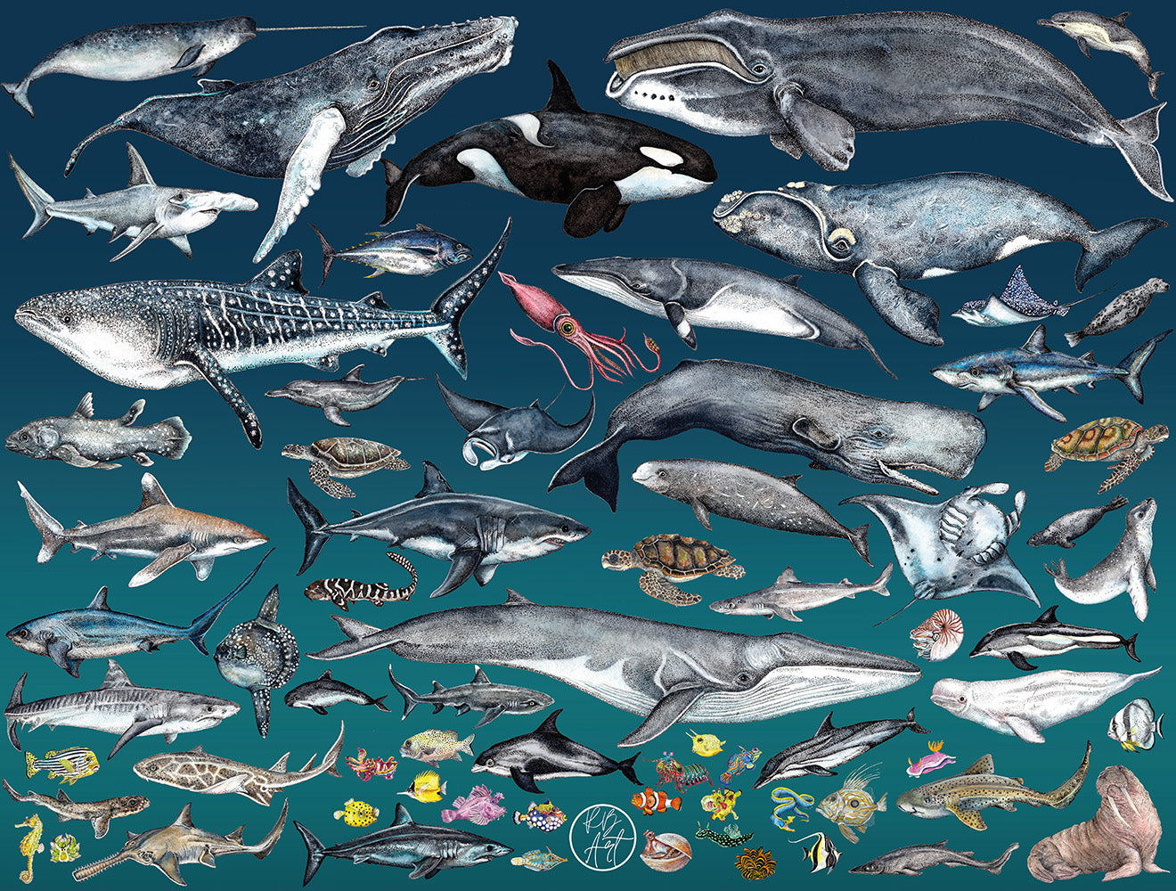 The Ocean 1000 Piece Jigsaw Puzzle – All Jigsaw Puzzles