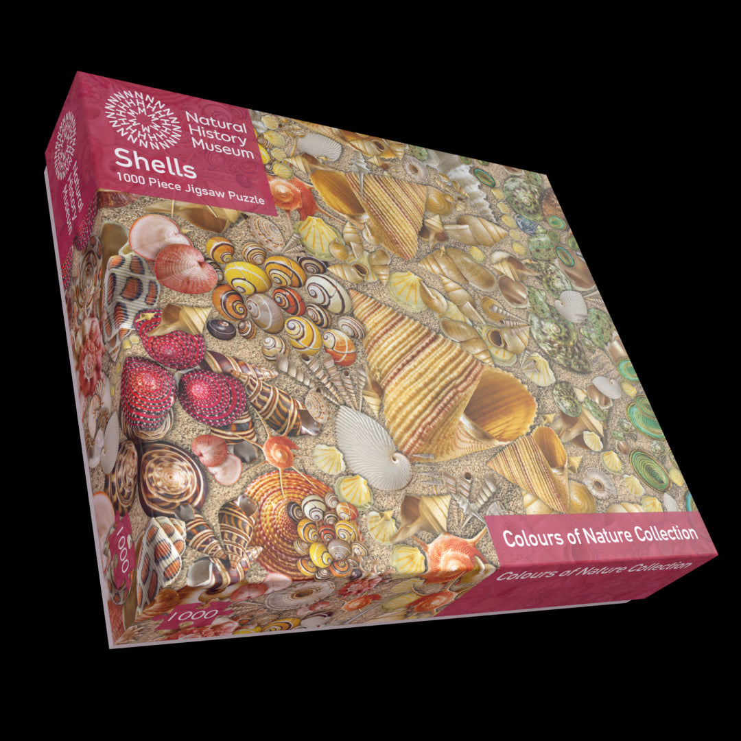 Natural History Museum - Shells 1000 Piece Jigsaw Puzzle – All Jigsaw ...