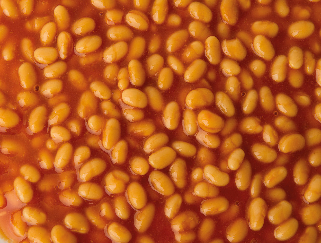 Baked Beans - 1000 or 500 Piece Jigsaw | All Jigsaw Puzzles UK